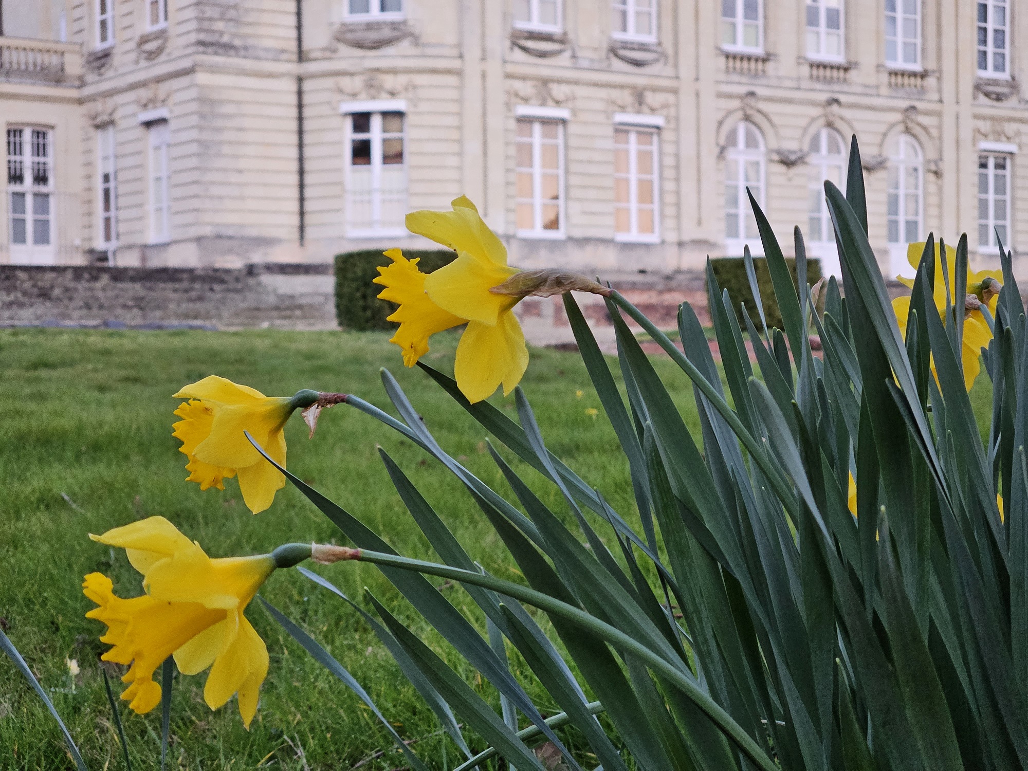 Ouverture du parc 1er avril - 1er nov - Château de Craon V2
